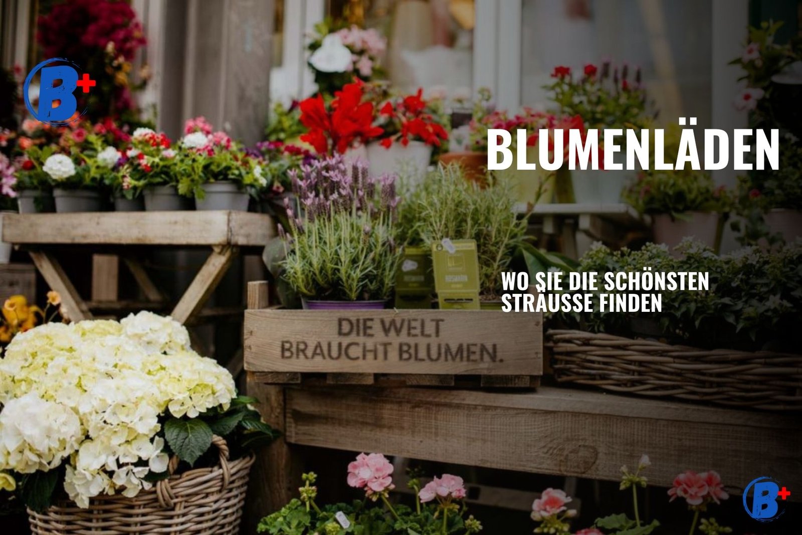 Der Beste Blumenläden In Hamburg: Wo Sie Die Schönsten Sträuße Finden