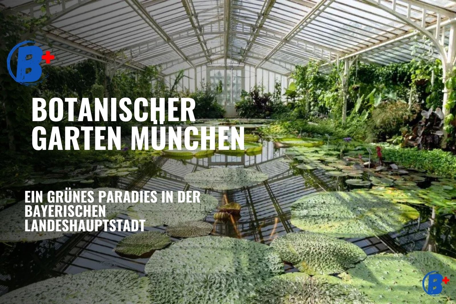 Botanischer Garten München-Nymphenburg: Entdecken Sie Den Botanisch ...