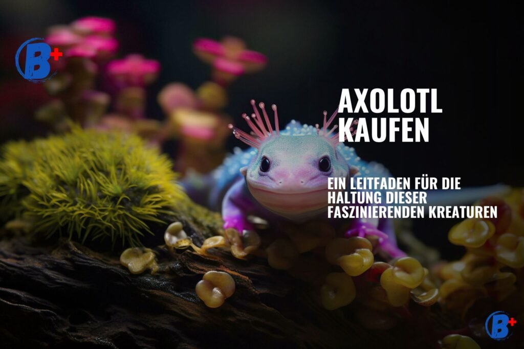 Wunderbar Axolotl Kaufen Fressnapf Fotos